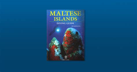 Github Goldlabel Apps Example Pwa This Is A React Progressive Web App It Uses Data Created