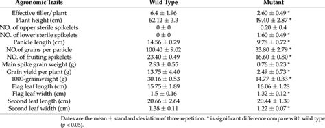 The Main Agronomic Traits Of The Wt And Mutant Download Scientific