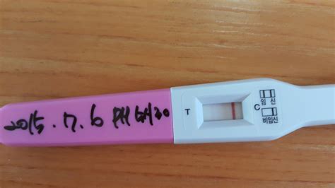 임신테스트 좀 봐주세요