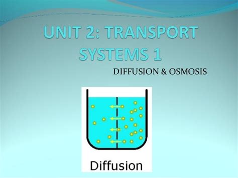 Osmosis Diffusion Venn Diagram