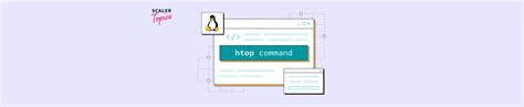 Htop Command In Linux Scaler Topics