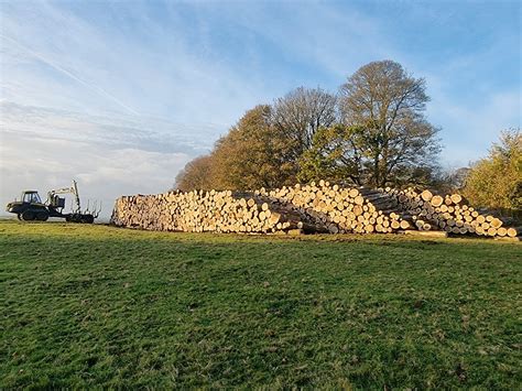 Chipping And Log Sales KWR Plant Hire