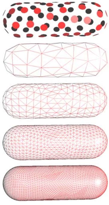 Figure 1 From High Quality Triangulation Of Implicit Surfaces Semantic Scholar