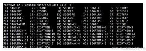 Linux——信号 Csdn博客