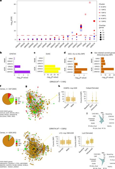 Single Cell Rna Sequencing Reveals Sex Differences In The Subcellular