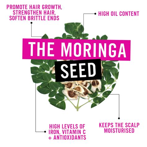 Enhance And Perfect Curl Cream 200ml The Curl Company