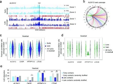 Circular Chromatin Conformation Capture 4c Of Culture Associated Download Scientific Diagram