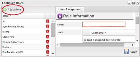 Security How To Configure Roles OnTarget Help