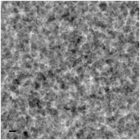Same As In Figure 1 But From A 2048² Simulation Early In The Download Scientific Diagram