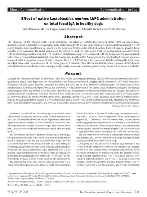 Pdf Effect Of Native Lactobacillus Murinus Lbp2 Administration On