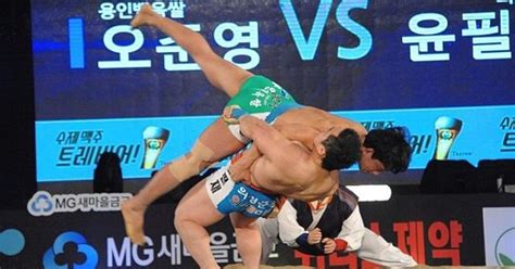 문체부 ‘k 씨름 진흥방안으로 씨름 부활 신호탄