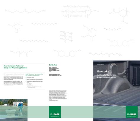 BASF Amines For Epoxy And Polyurea Applications US Intermediates Baxxodur Amines For Epoxy
