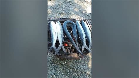 Sinogba 🩵🩵🩵 Youtube