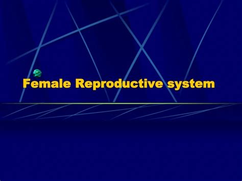 Ppt Female Reproductive System Powerpoint Presentation Free Download