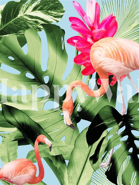 Tropical Flamingo Wallpaper For Home Decor