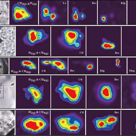 Raman Spectra Of Representative Olivine‐hosted Fluid Inclusions In Download Scientific Diagram