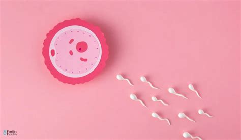 Understanding Minimum Sperm Count Required For Ivf Treatment