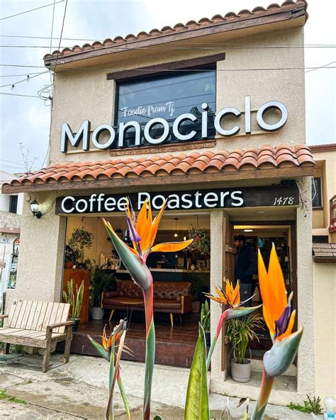 Deleita Tus Sentidos Con Estas 10 Cafeterías Imperdibles En Tijuana