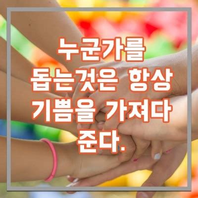 우리가 개를 도와야 하는 이유
