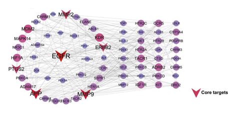 The Ppi Network Constructed By The String Database And Cytoscape 372