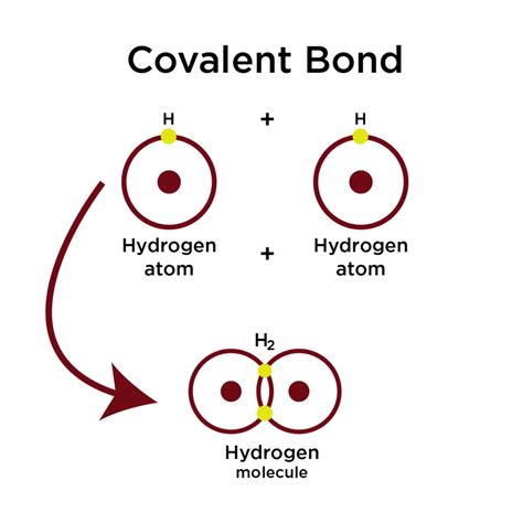 What Are The 3 Types Of Covalent Bonds And Examples At Luca Barrow Blog