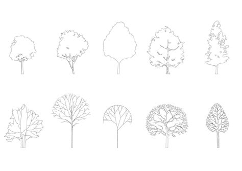 Tree Line Drawing Side View Graphics Trees Elements Single Object Outline Minimal Plant Symbol Tree Line Drawing Side View Graphics Trees Elements Single Object Outline Minimal Plant Symbol