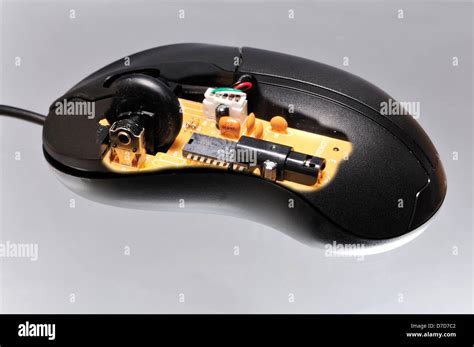 Anatomy Of Computer Mouse At James Denton Blog