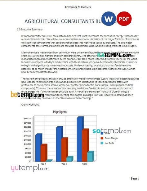 Computer Programming Business Plan Template In Word And Pdf Formats By Betemplbe Medium