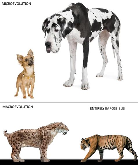 Micro X Macro Evolution Image Atheists Agnostics And Anti Theists Of Moddb Moddb