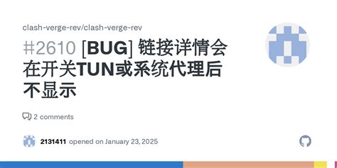 Bug 链接详情会在开关tun或系统代理后不显示 · Issue 2610 · Clash Verge Revclash Verge