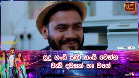 සුදු හංසි කළු හංසි වෙන්න වැඩි දවසක් නෑ වගේ Youtube