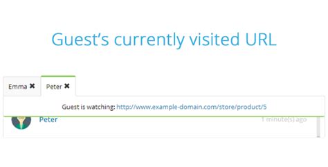 Php Live Support Chat By Mirrormx Codecanyon