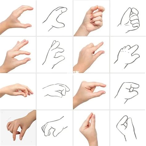 Q版手部练习 卡通手绘制 花瓣网