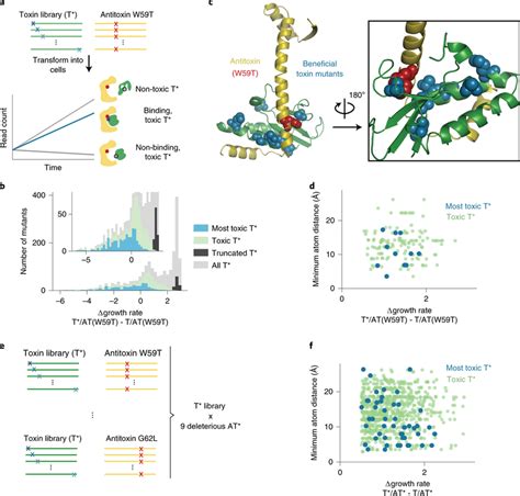 Beneficial Interaction Restoring Mutations Can Be Far From The Download Scientific Diagram