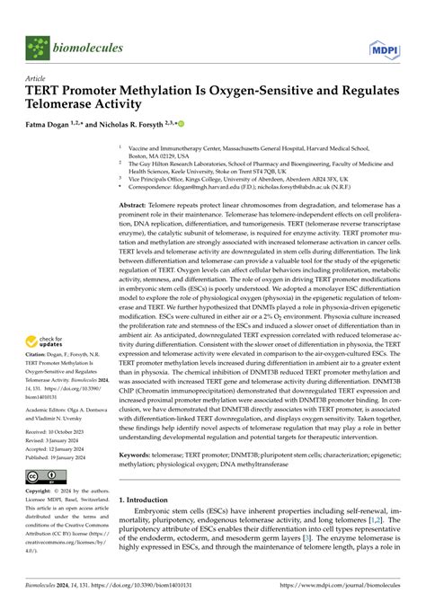 Pdf Tert Promoter Methylation Is Oxygen Sensitive And Regulates Telomerase Activity
