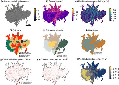 Fixed Spatial Effects Considered In The New Canopy Disturbance Spatial