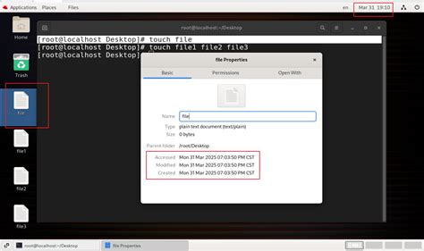 Linux中常用的文件管理命令linux文件管理命令 Csdn博客 Linux中常用的文件管理命令linux文件管理命令 Csdn博客