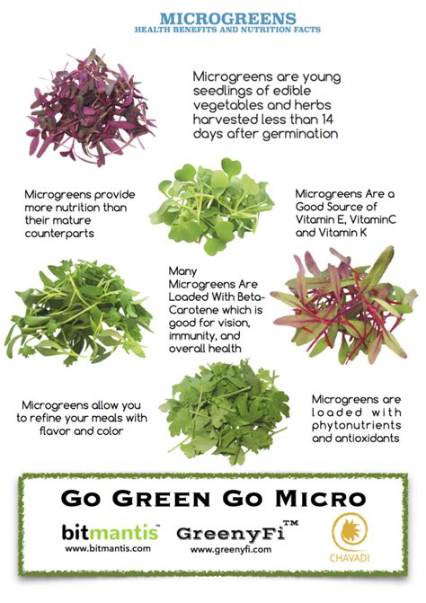Printable Microgreens Nutrition Chart Printable Word Searches