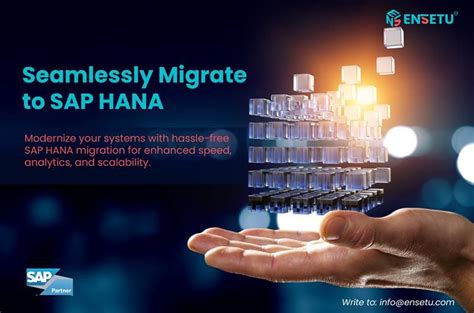 Sappartner Sapmigration Digitaltransformation Businessefficiency Dataanalytics Ensetu