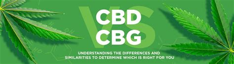 Cbd Vs Cbg Understanding The Differences And Similarities To Determin
