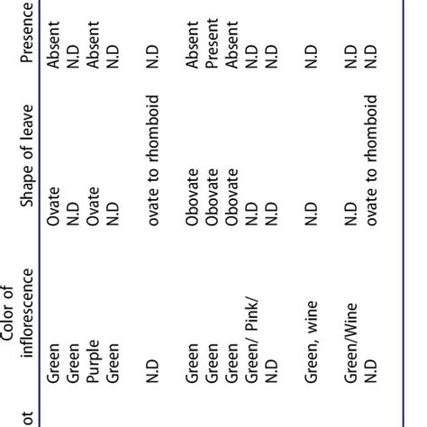 Pdf Exploring The Potentials Of Underutilized Grain Amaranth Amaranthus Spp Along The Value