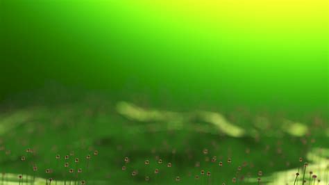 3d Rendering Colorful Particle Line Like Stock Motion Graphics Sbv