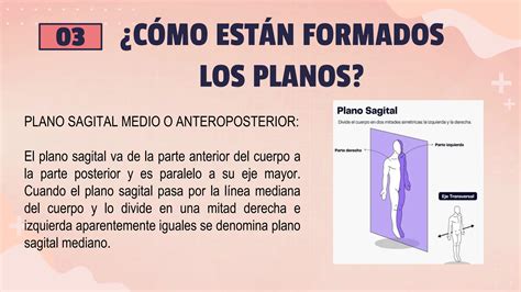 Planimetria Y Cavidades Del Cuerpo Humanopdf