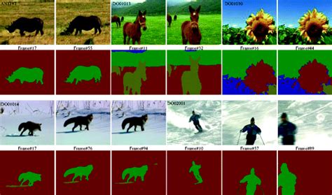 Our Multiple Object Segmentation Results Of Five Sequences Download Scientific Diagram