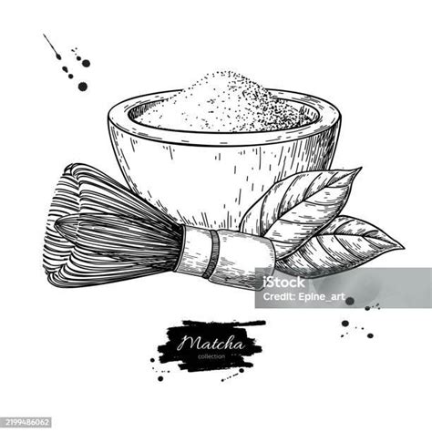 말차 차 벡터 그리기 말차 가루 녹차 잎 대나무 거품기 스케치를 담은 그릇 0명에 대한 스톡 벡터 아트 및 기타 이미지 0명 가루로 빻은 건강한 생활방식 Istock