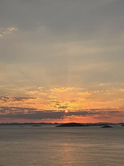 Post Roof Of Trees Tumblr Com Tumbex Post Roof Of Trees Tumblr Com Tumbex