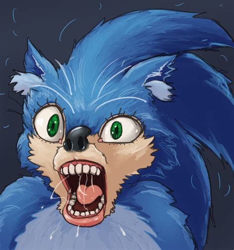 Its Sanicccc By Roxyrex On Newgrounds