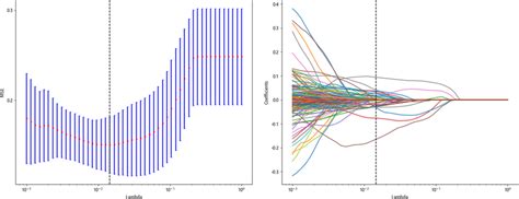 Hand Crafted Feature Selection Using The Least Absolute Shrinkage And