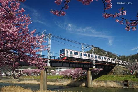 特急みなみの桜河津桜号 線路脇のカメラマンのブログ 楽天ブログ