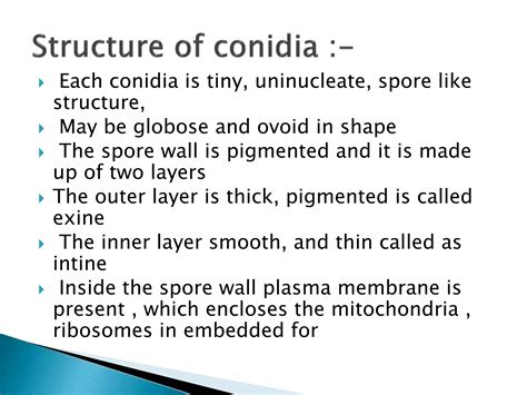 Life Cycle Of Aspergillus And Penicillium Ppt Ppt